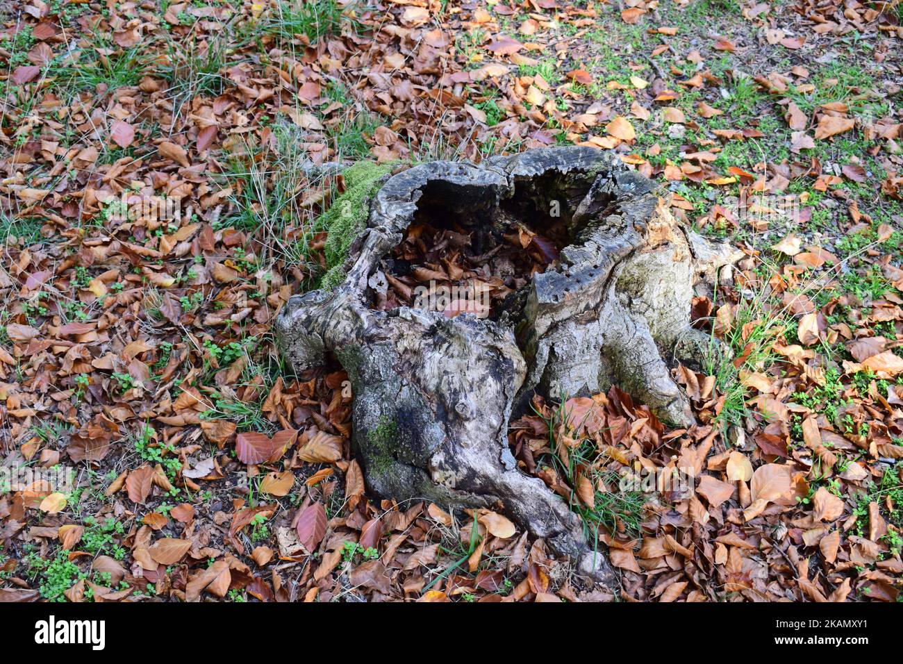 Lacher see gebiet hi-res stock photography and images - Alamy