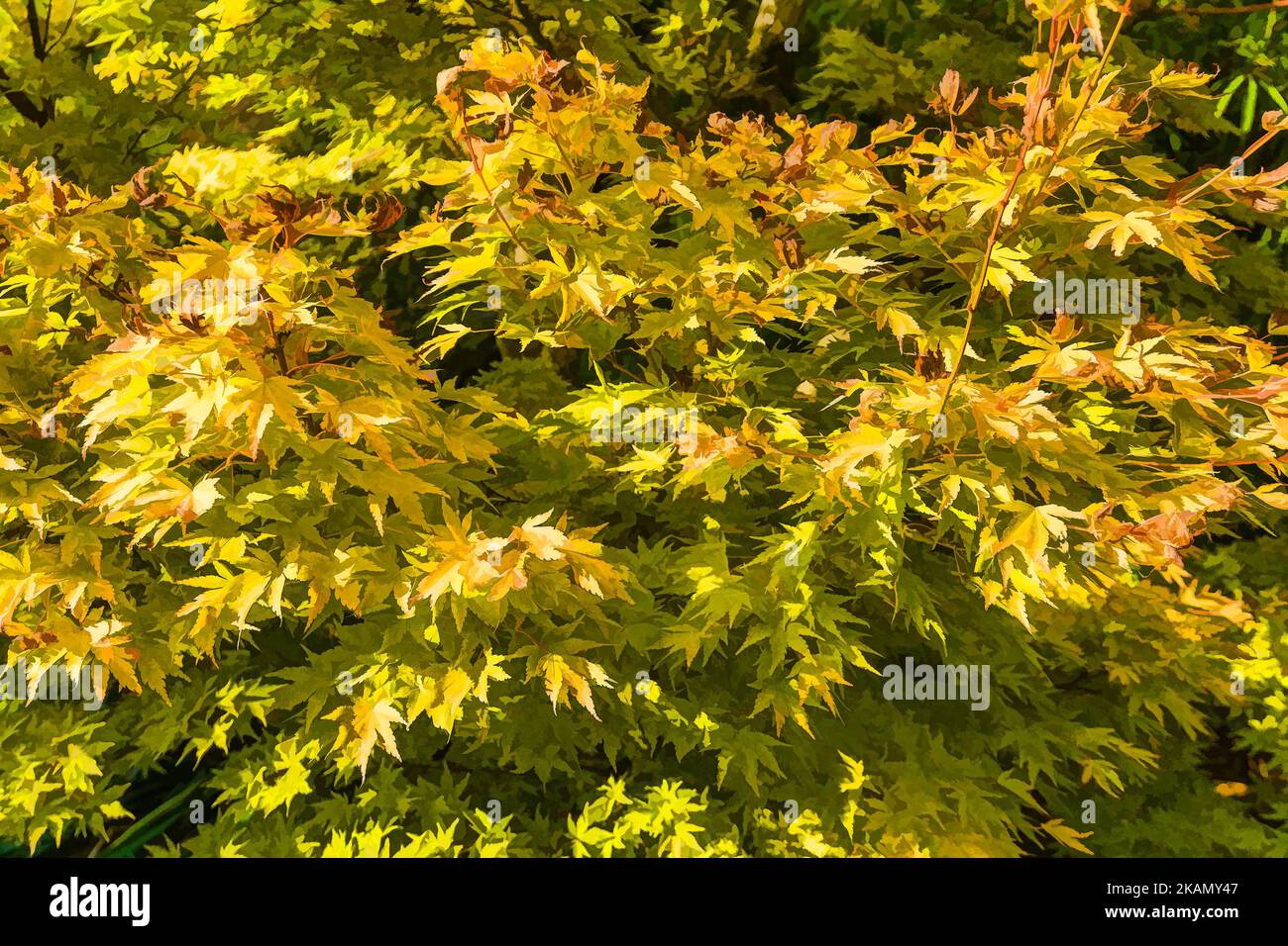 An illustration of yellow fall leaves. Close-up shot Stock Photo - Alamy