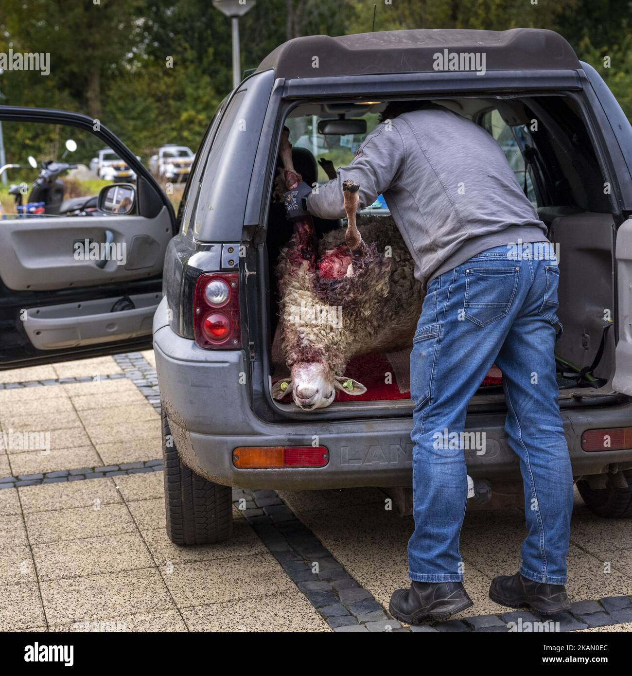 Assen, Netherlands. 03rd Nov, 2022. 2022-11-03 14:21:32 ASSEN - Dead ...