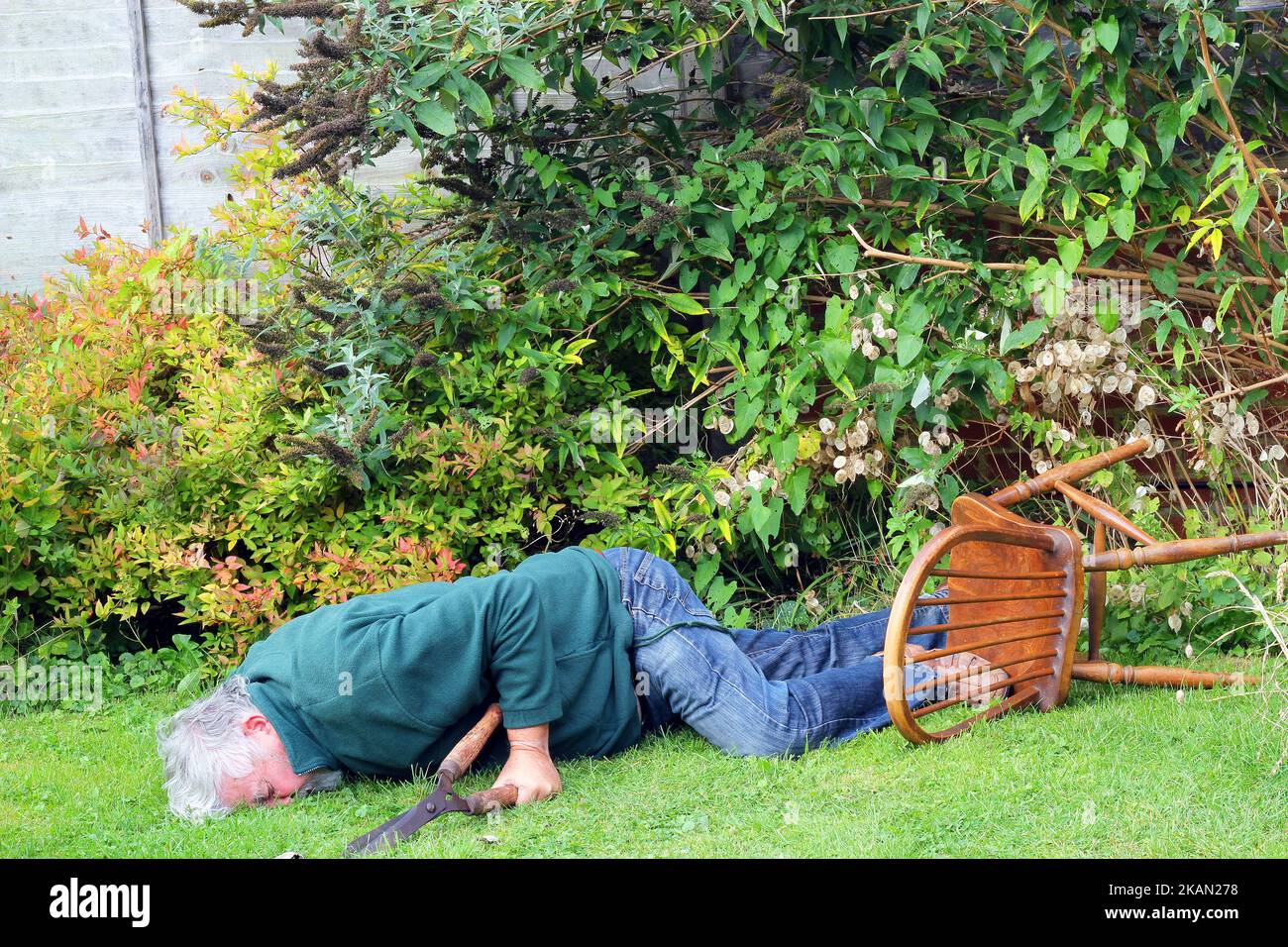 Senior man gardening and had an accident. Fallen over. Accident. Sharp ...