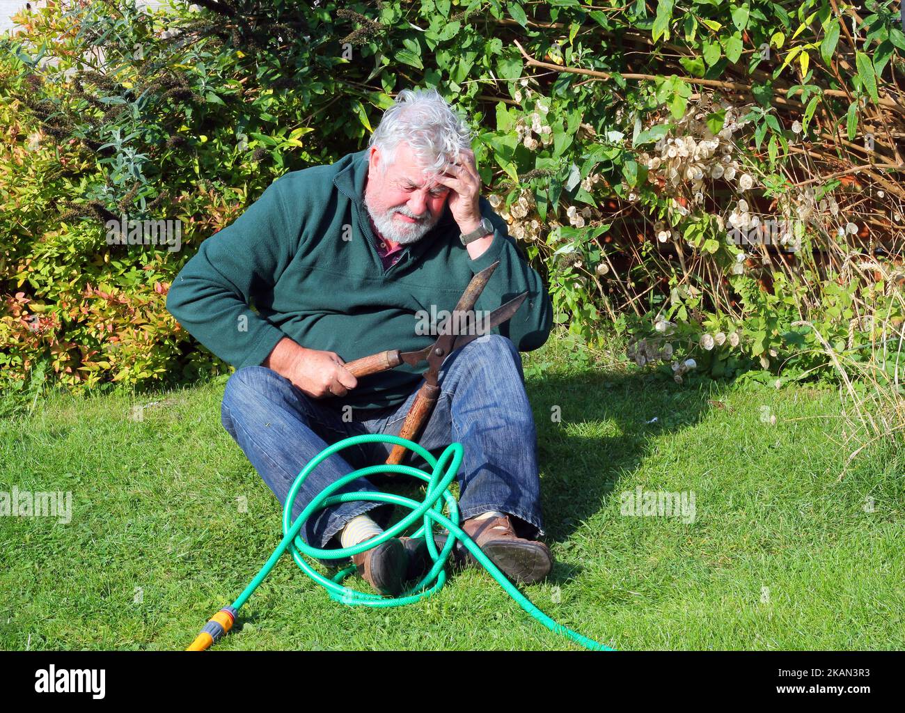 Senior man gardening and had an accident. Fallen over. Accident. Sharp ...