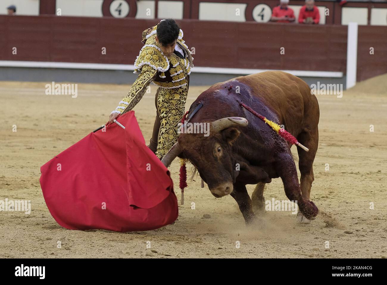 Spanish bullfighter Alberto Lopez Simon fights his first bull during ...