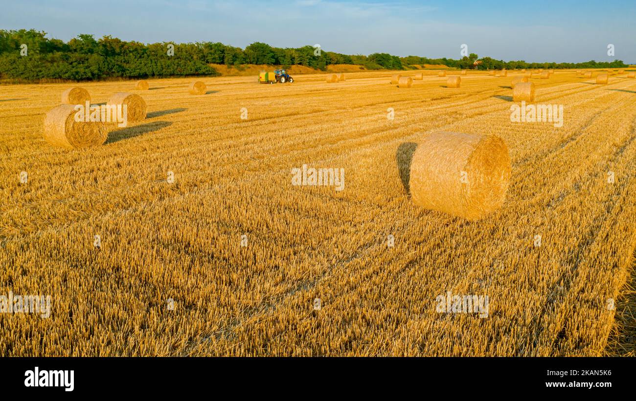 Above view round bale of straw after harvest, in background tractor is ...