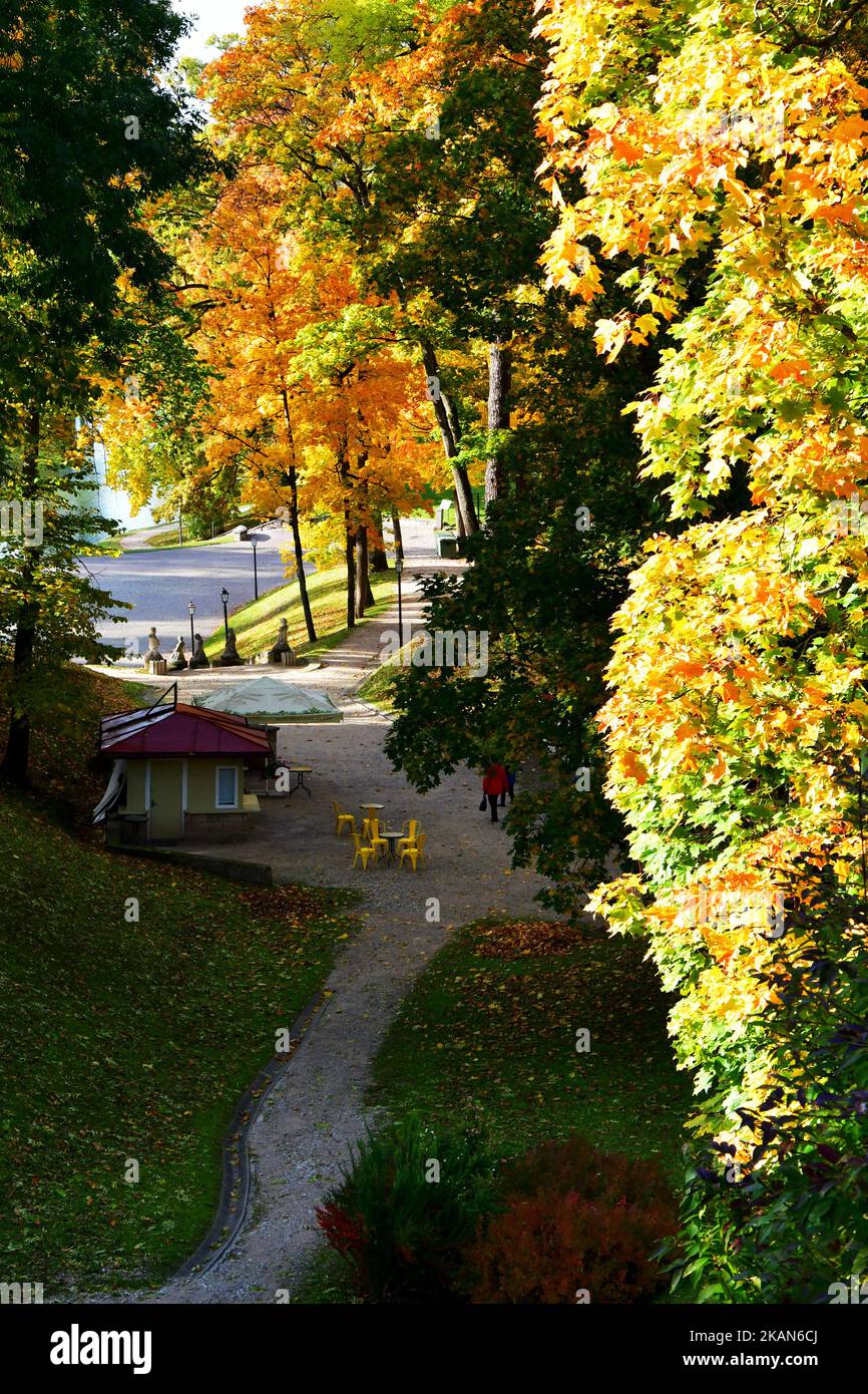 A pathway and yellow chairs in a beautiful autumn park Stock Photo - Alamy