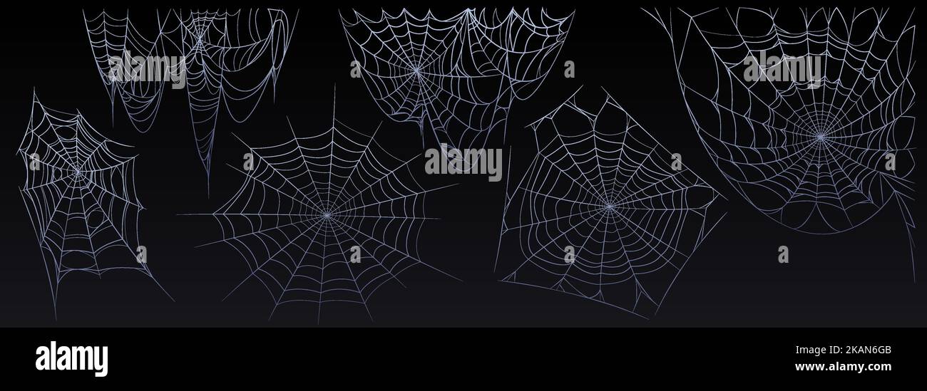 Set of tangled spiderweb hanging isolated on black background ...