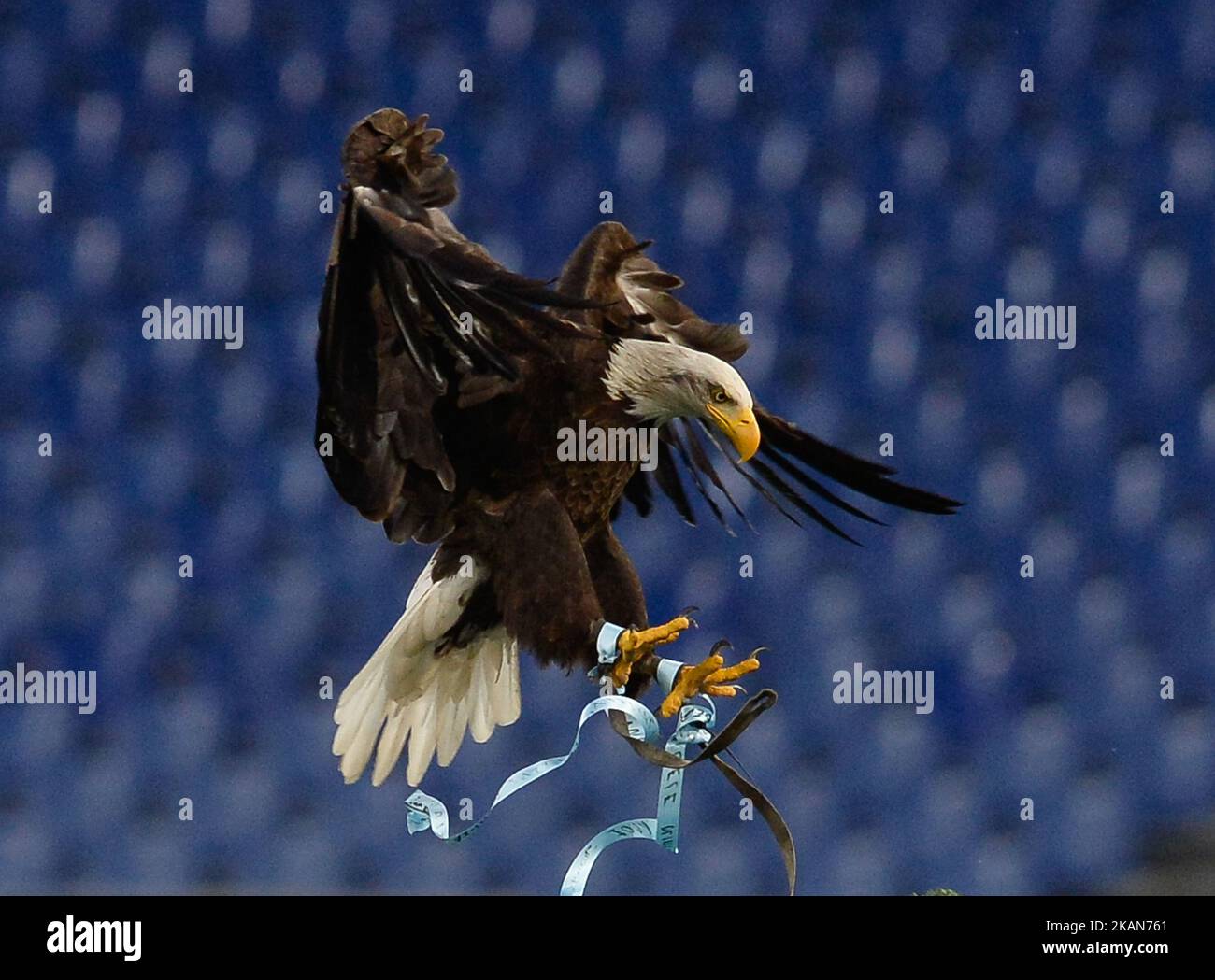 Eagles of rome hi-res stock photography and images - Alamy