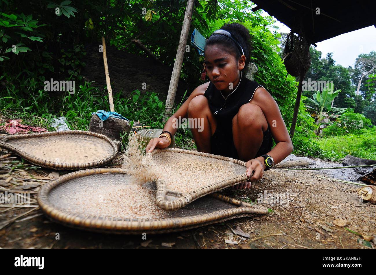 A young lady of Che Wong, Mahani husking rice to prepare lunch for her ...