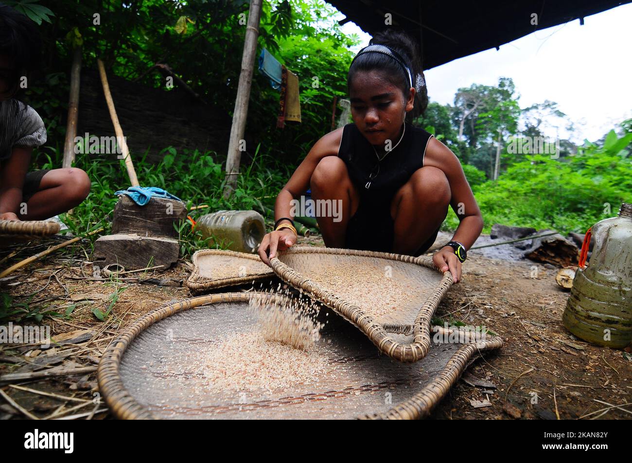 A young lady of Che Wong, Mahani husking rice to prepare lunch for her ...
