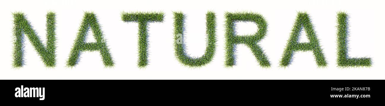 Concept or conceptual green lawn grass forming the word NATURAL ...