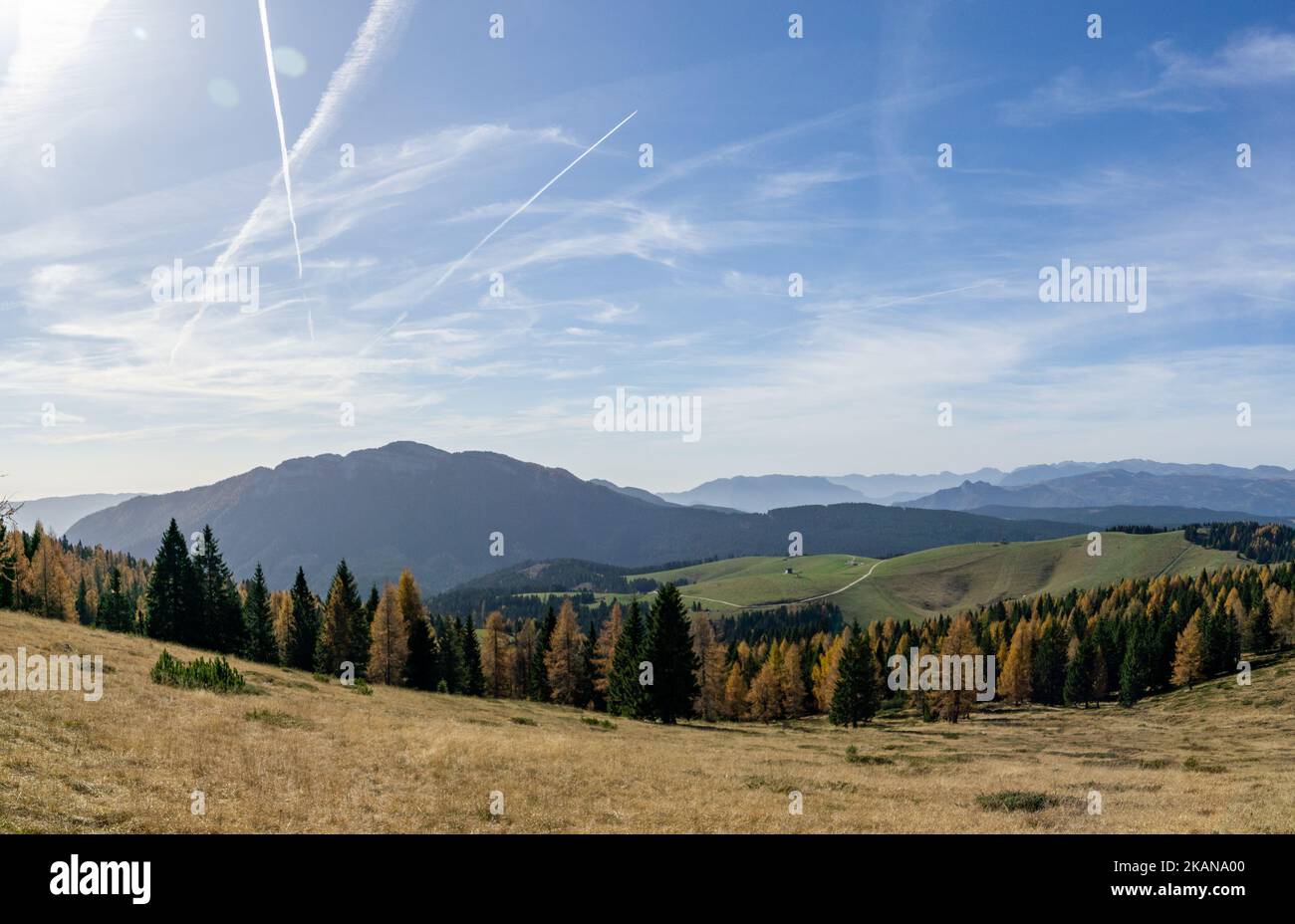View from Cima Mandriolo Larici Altopiano di Asiago Stock Photo - Alamy