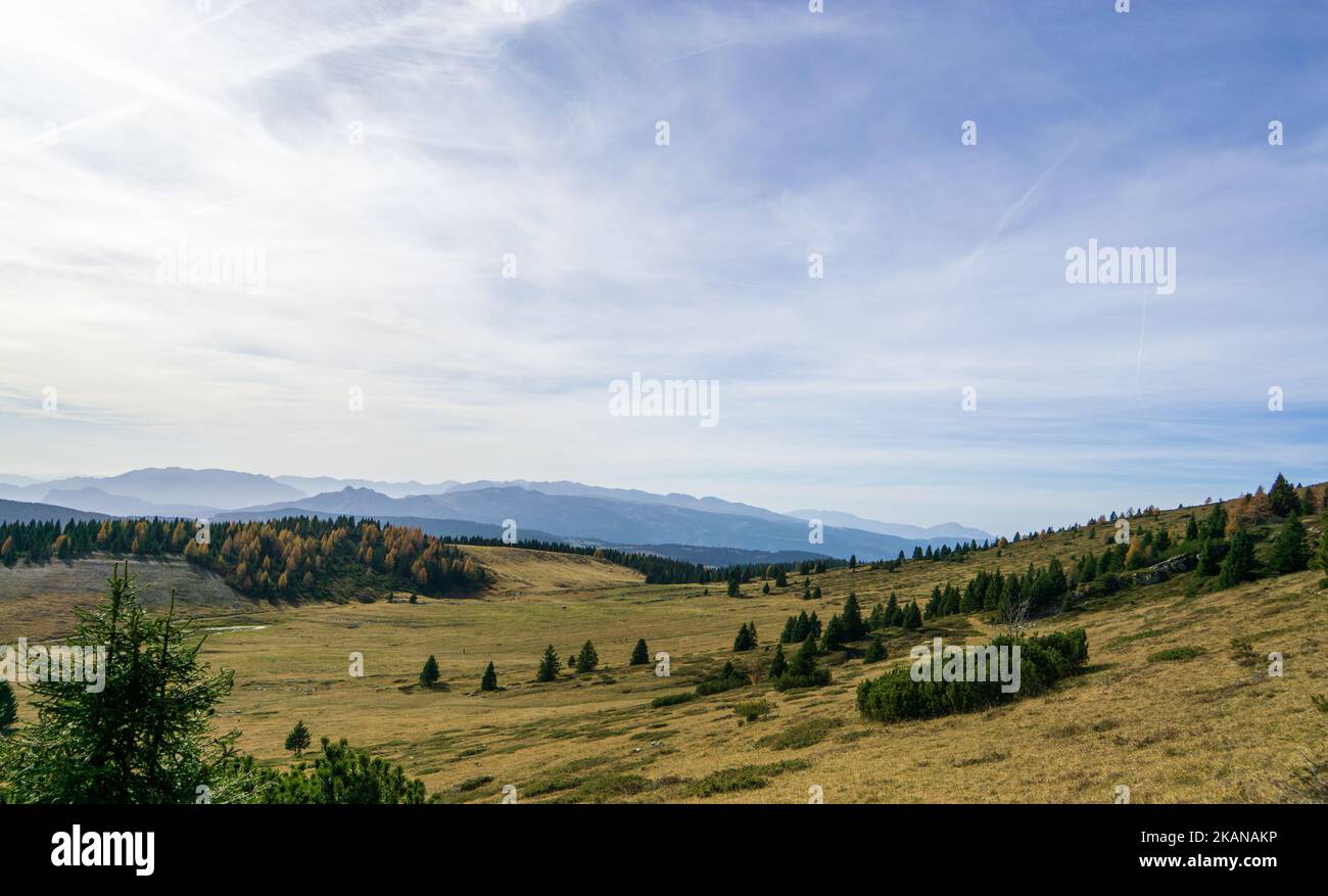 View from Cima Mandriolo Larici Altopiano di Asiago Stock Photo - Alamy
