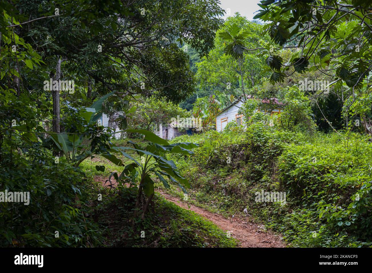 A gravel path with vegetation in a park Stock Photo - Alamy