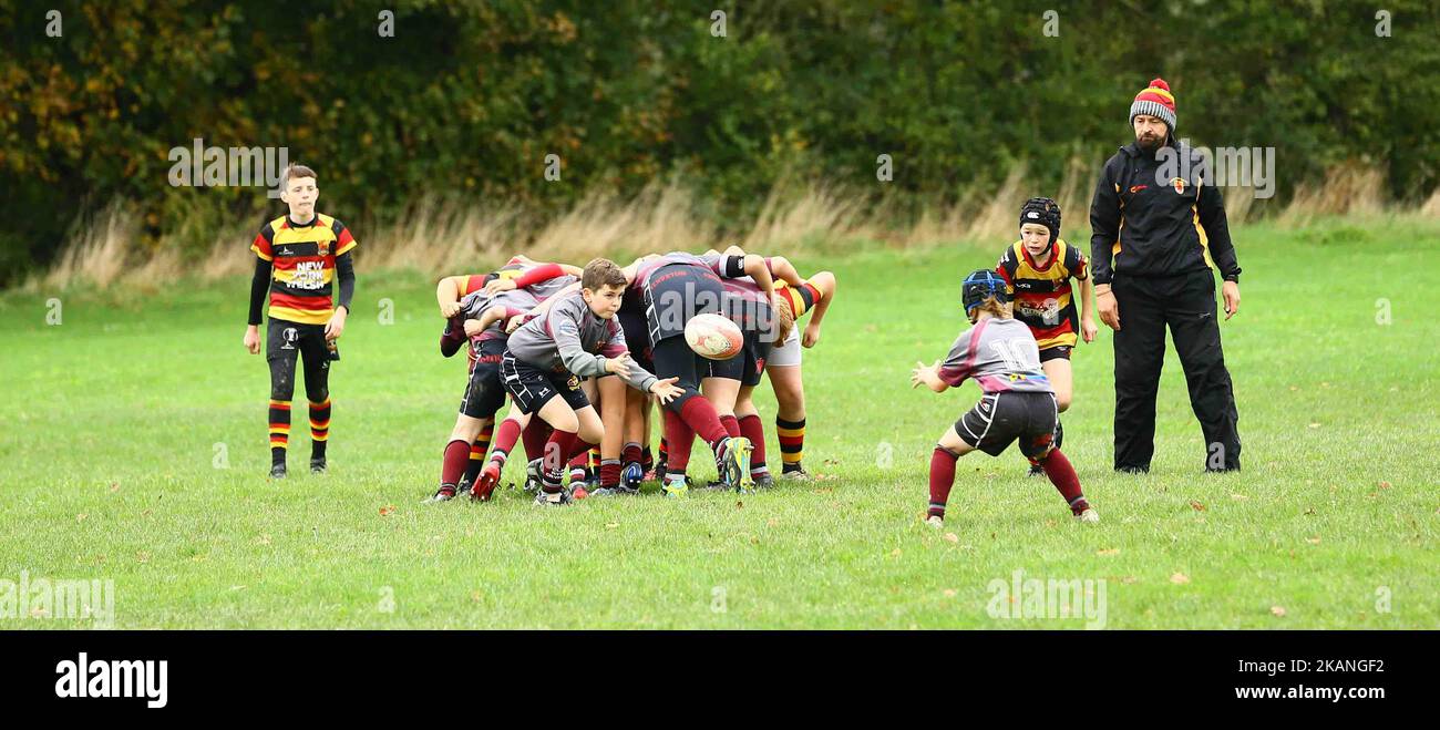 Carmarthen Quins Juniors September 30th 2022 Stock Photo - Alamy
