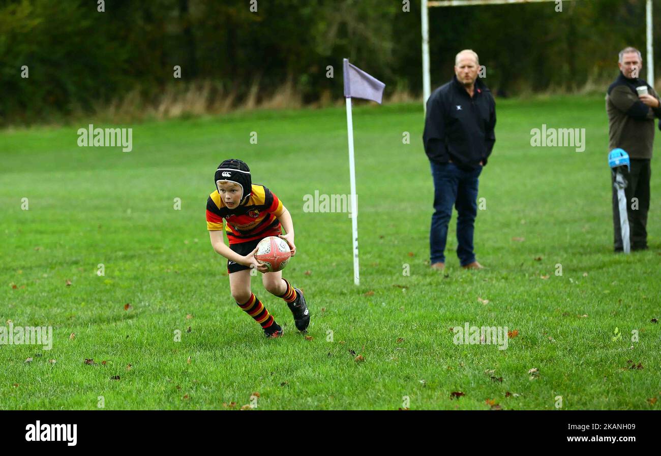 Carmarthen Quins Juniors September 30th 2022 Stock Photo - Alamy