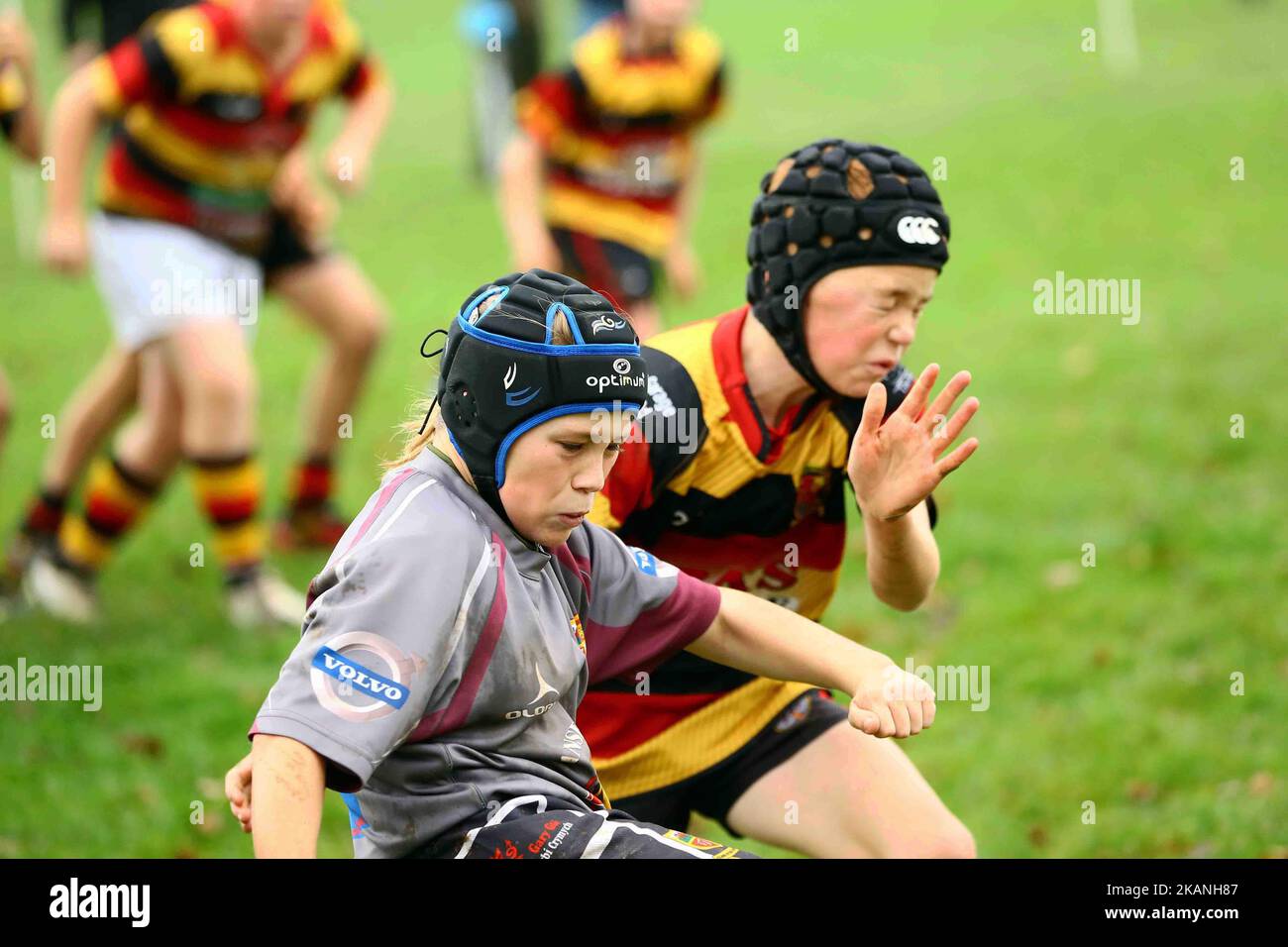 Carmarthen Quins Juniors September 30th 2022 Stock Photo - Alamy