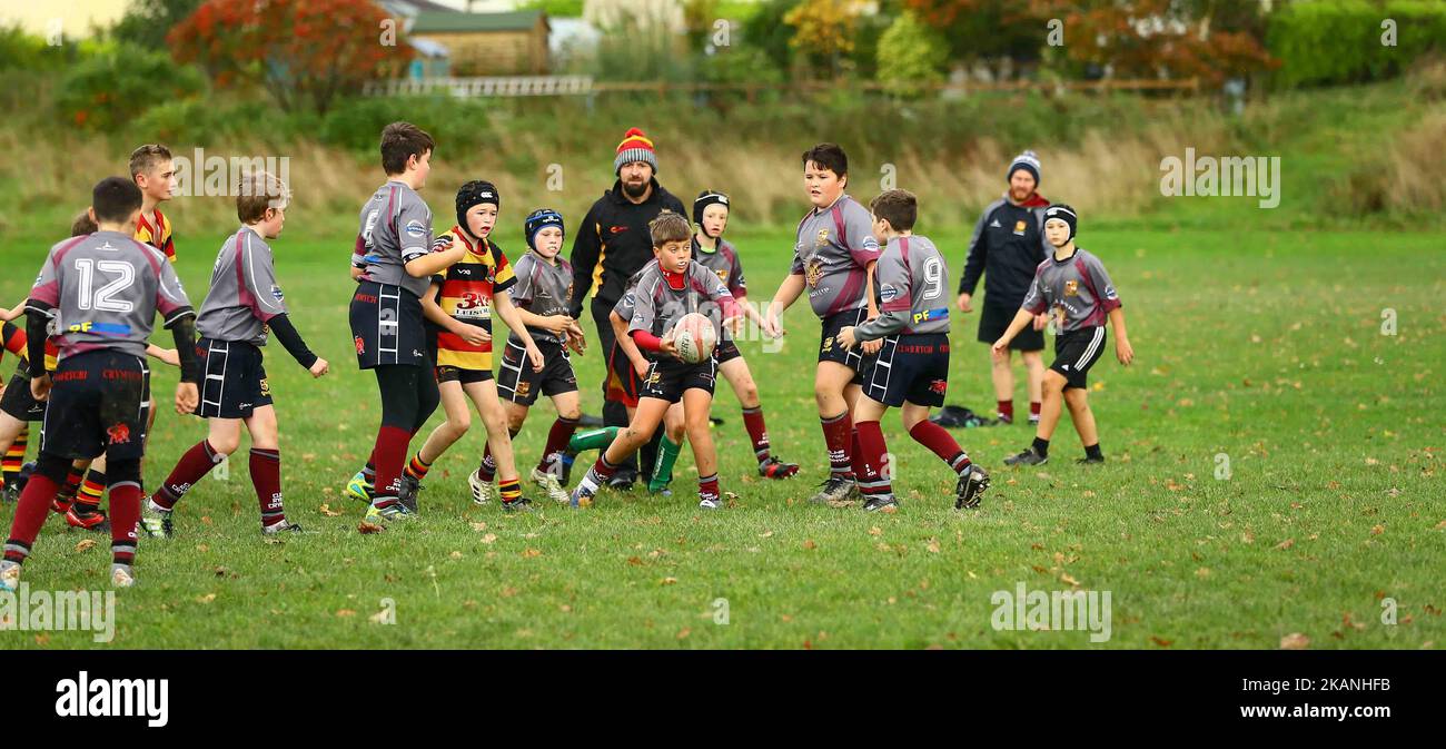 Carmarthen Quins Juniors September 30th 2022 Stock Photo - Alamy