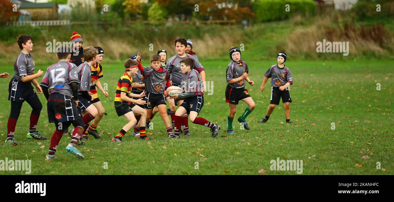Carmarthen Quins Juniors September 30th 2022 Stock Photo - Alamy