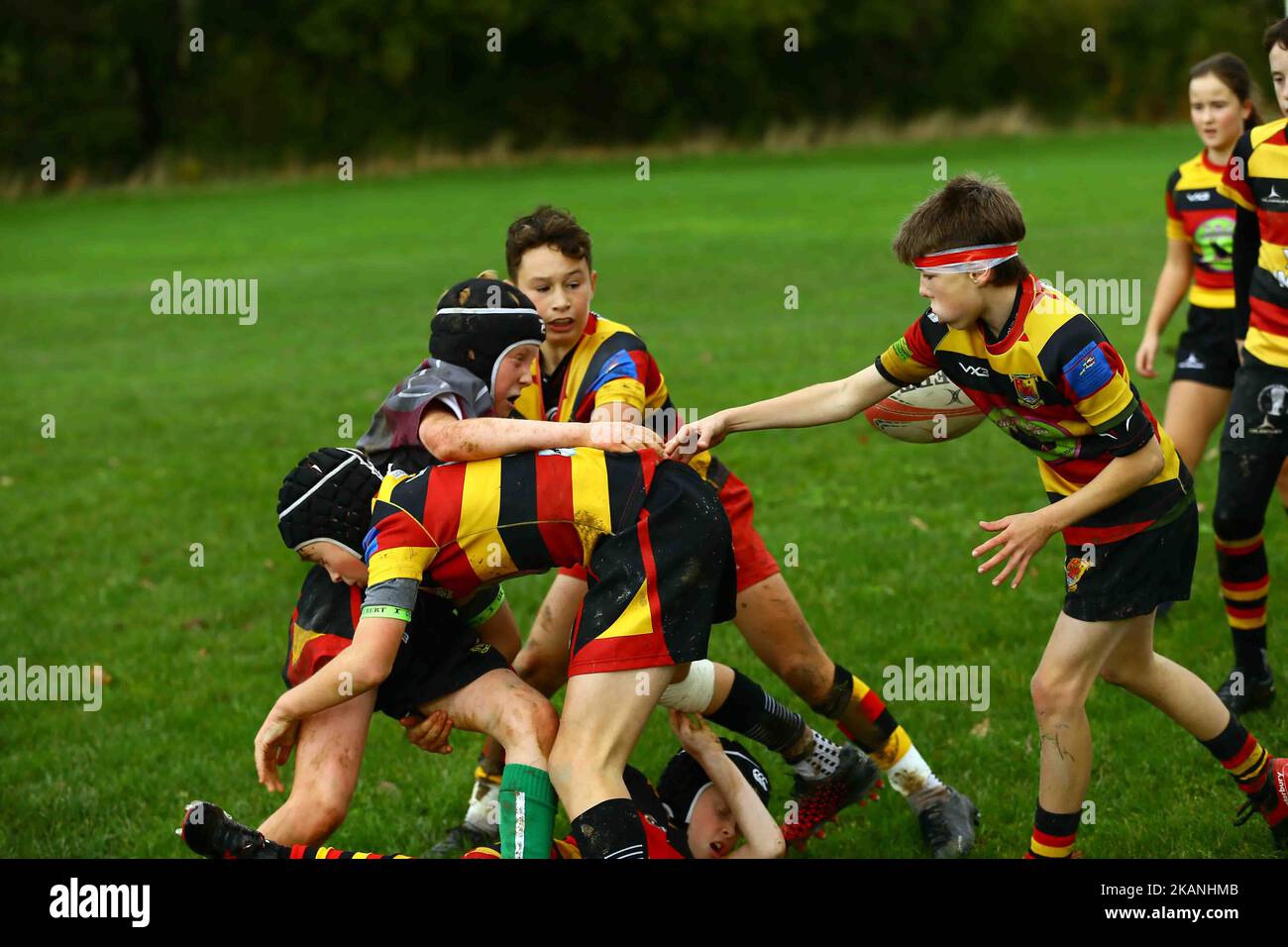 Carmarthen Quins Juniors September 30th 2022 Stock Photo - Alamy