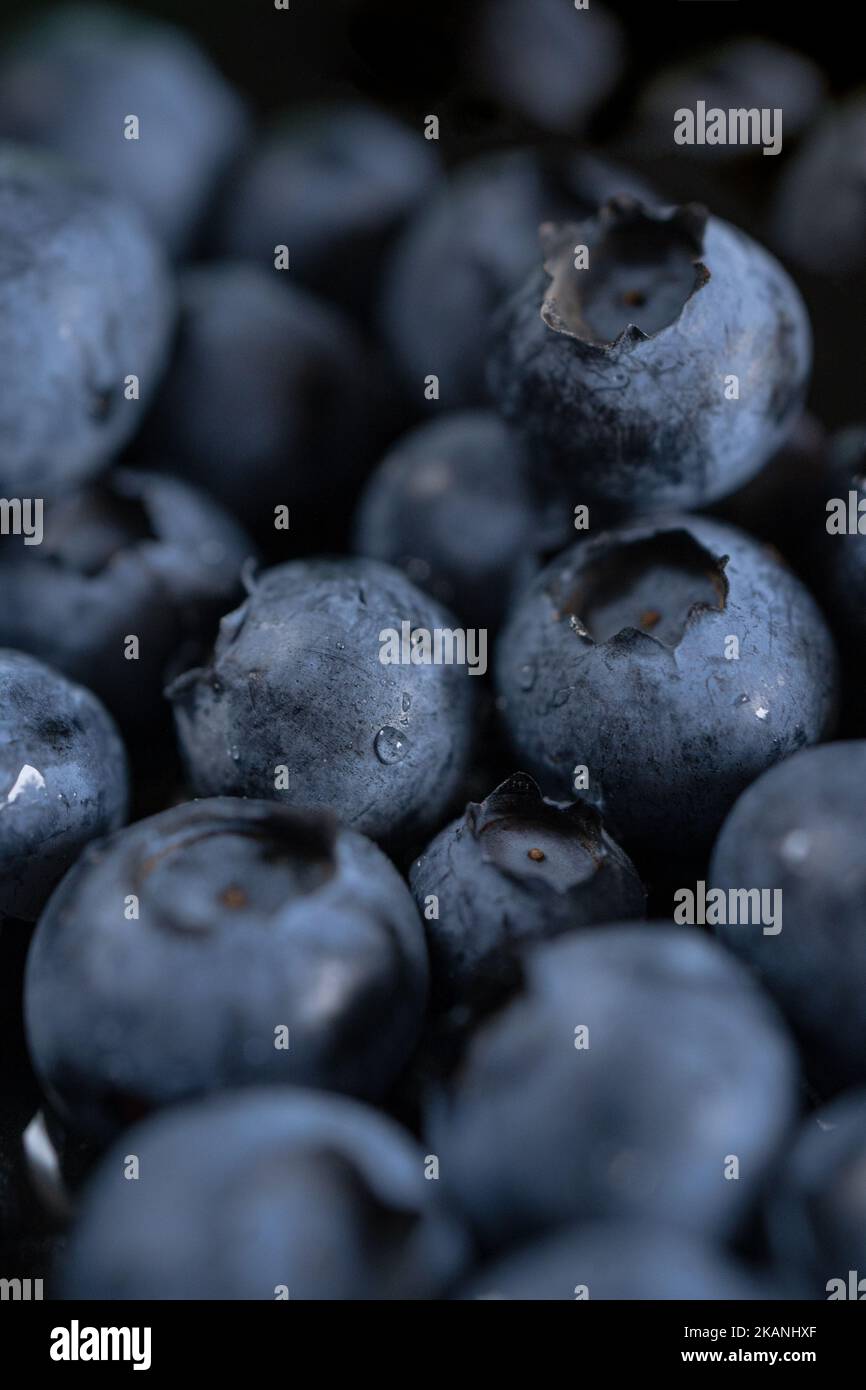 A selective focus shot of Blueberry with blur background Stock Photo ...