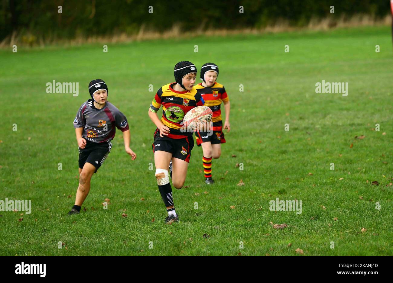 Carmarthen Quins Juniors September 30th 2022 Stock Photo - Alamy