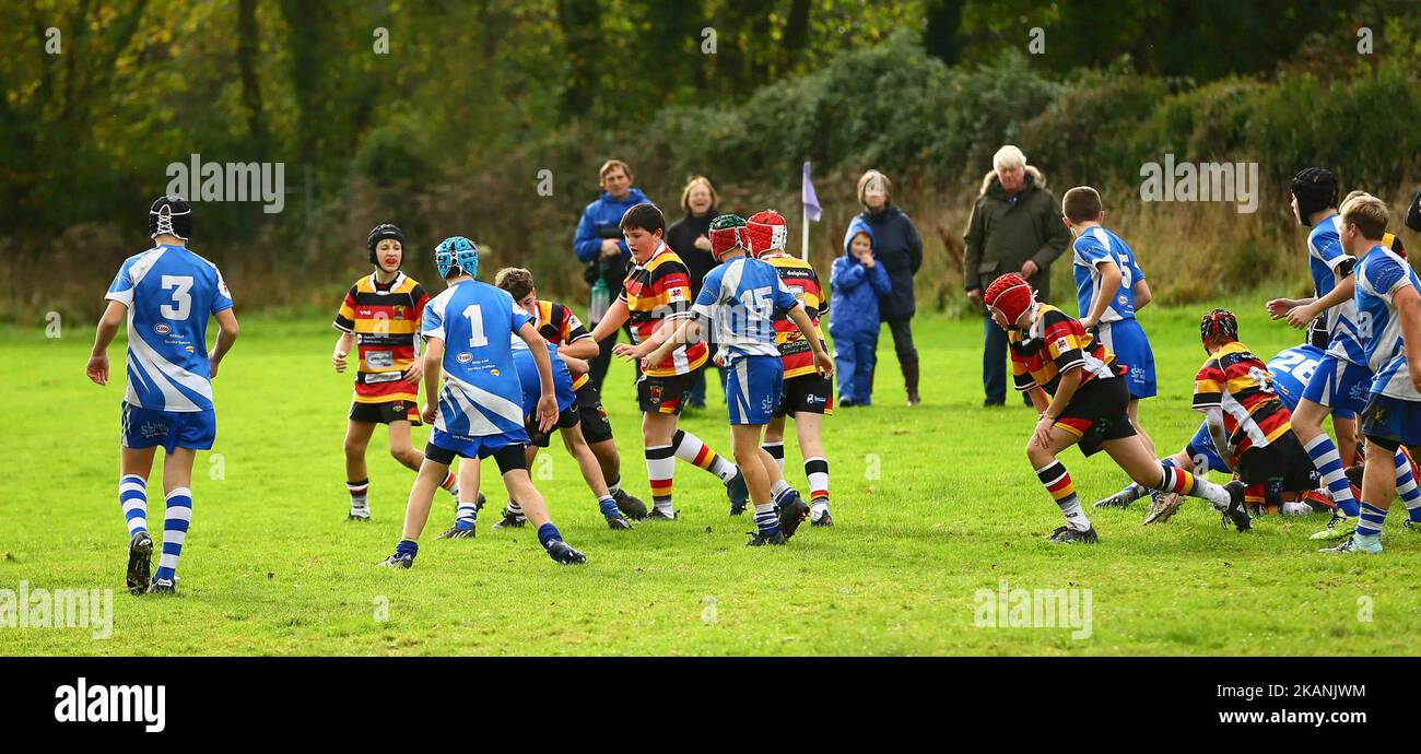 Carmarthen Quins Juniors September 30th 2022 Stock Photo - Alamy