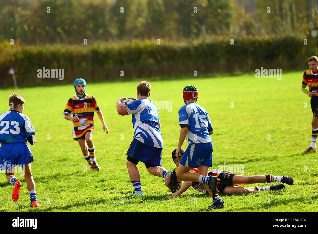 Carmarthen Quins Juniors September 30th 2022 Stock Photo - Alamy