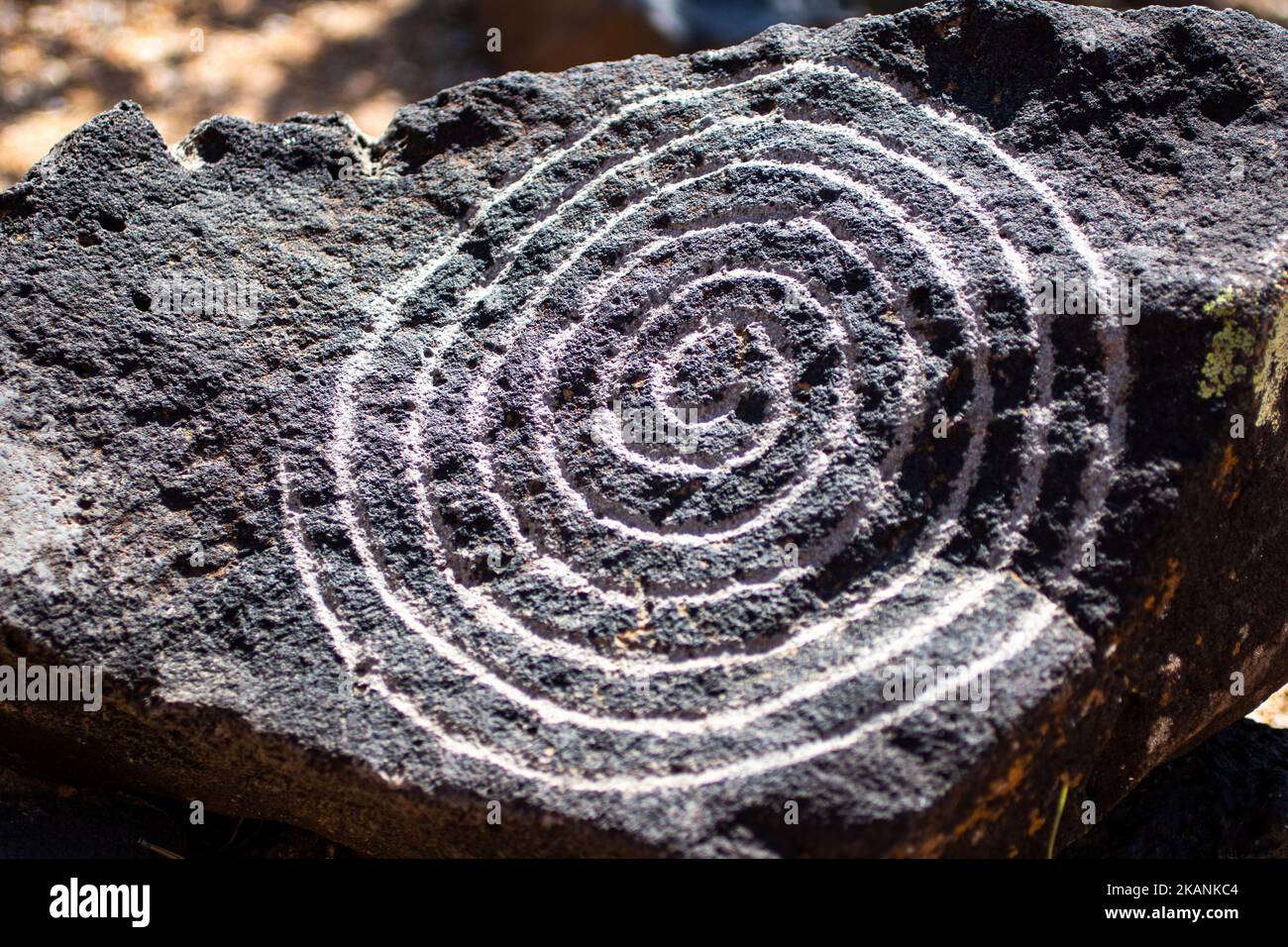 A close up of a rock with a spiral circle petroglyph in the Petroglyph ...