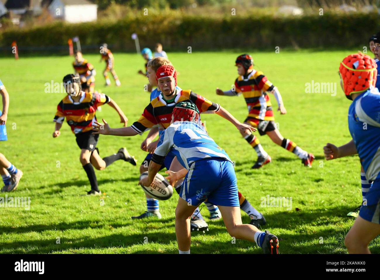 Carmarthen Quins Juniors September 30th 2022 Stock Photo - Alamy