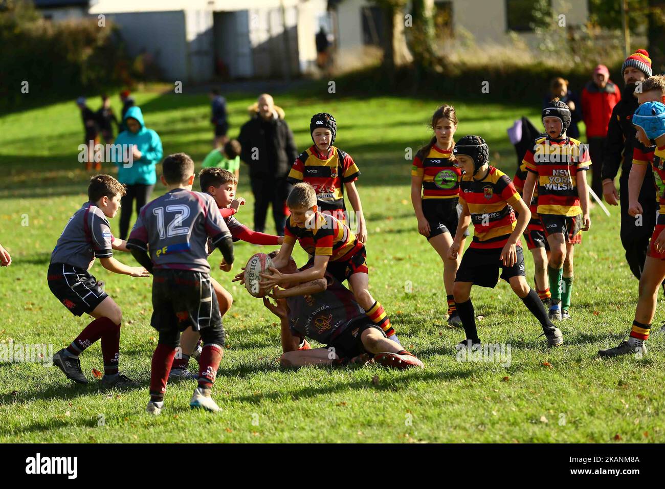 Carmarthen Quins Juniors September 30th 2022 Stock Photo - Alamy