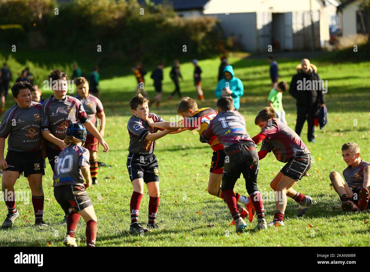 Carmarthen Quins Juniors September 30th 2022 Stock Photo - Alamy