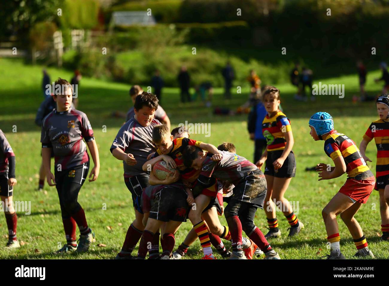 Carmarthen Quins Juniors September 30th 2022 Stock Photo - Alamy