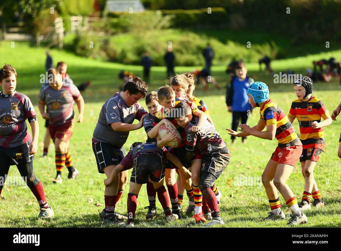Carmarthen Quins Juniors September 30th 2022 Stock Photo - Alamy