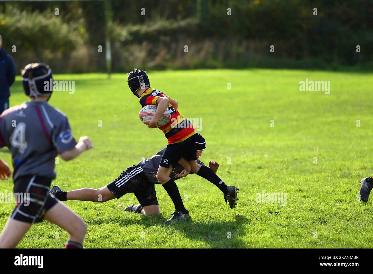 Carmarthen Quins Juniors September 30th 2022 Stock Photo - Alamy