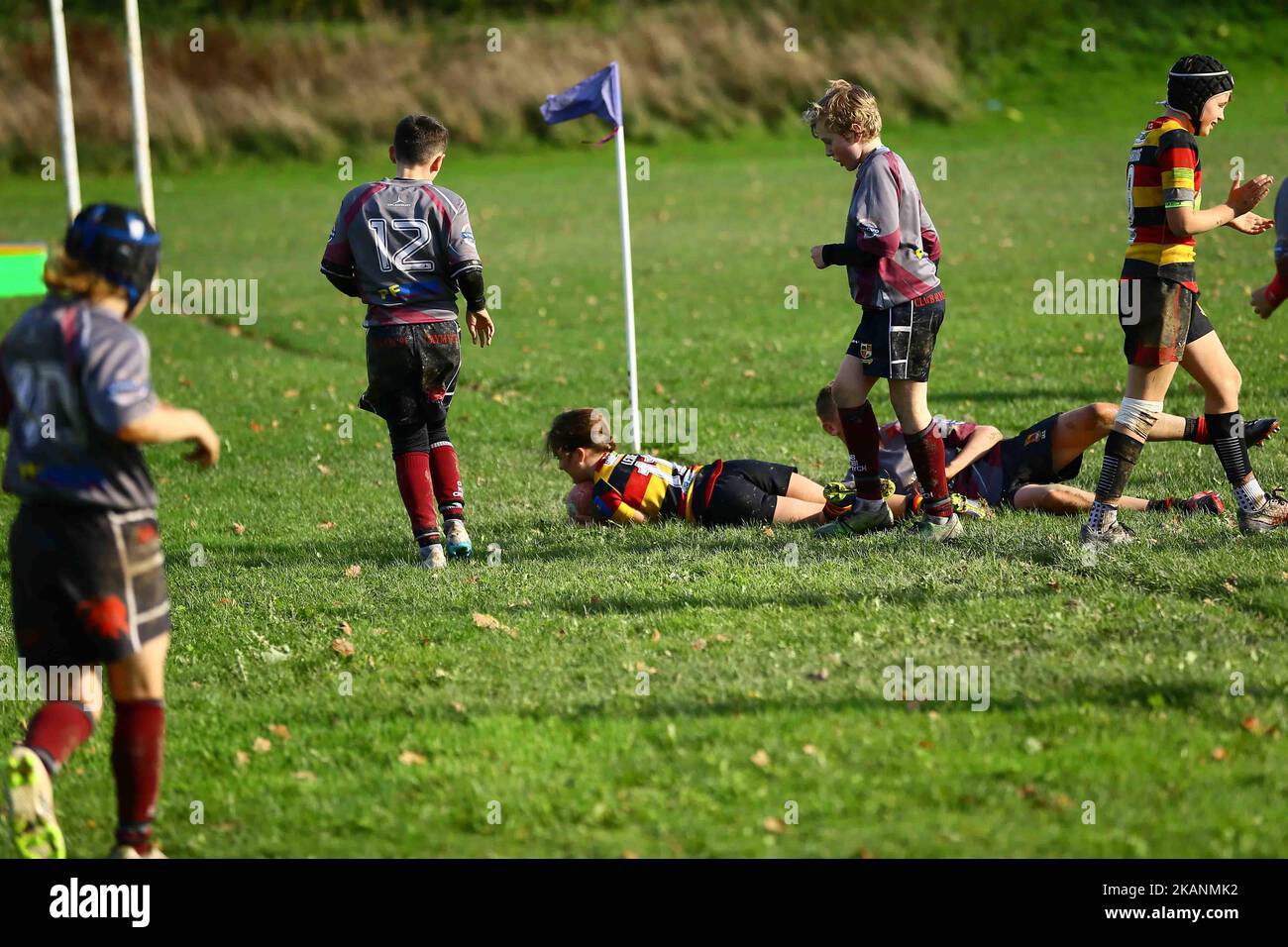 Carmarthen Quins Juniors September 30th 2022 Stock Photo - Alamy