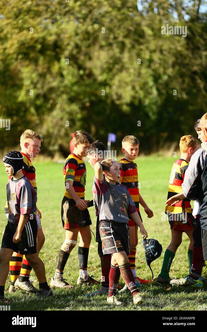 Carmarthen Quins Juniors September 30th 2022 Stock Photo - Alamy