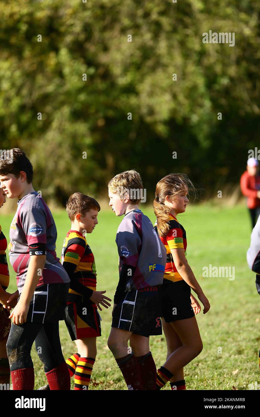 Carmarthen Quins Juniors September 30th 2022 Stock Photo - Alamy