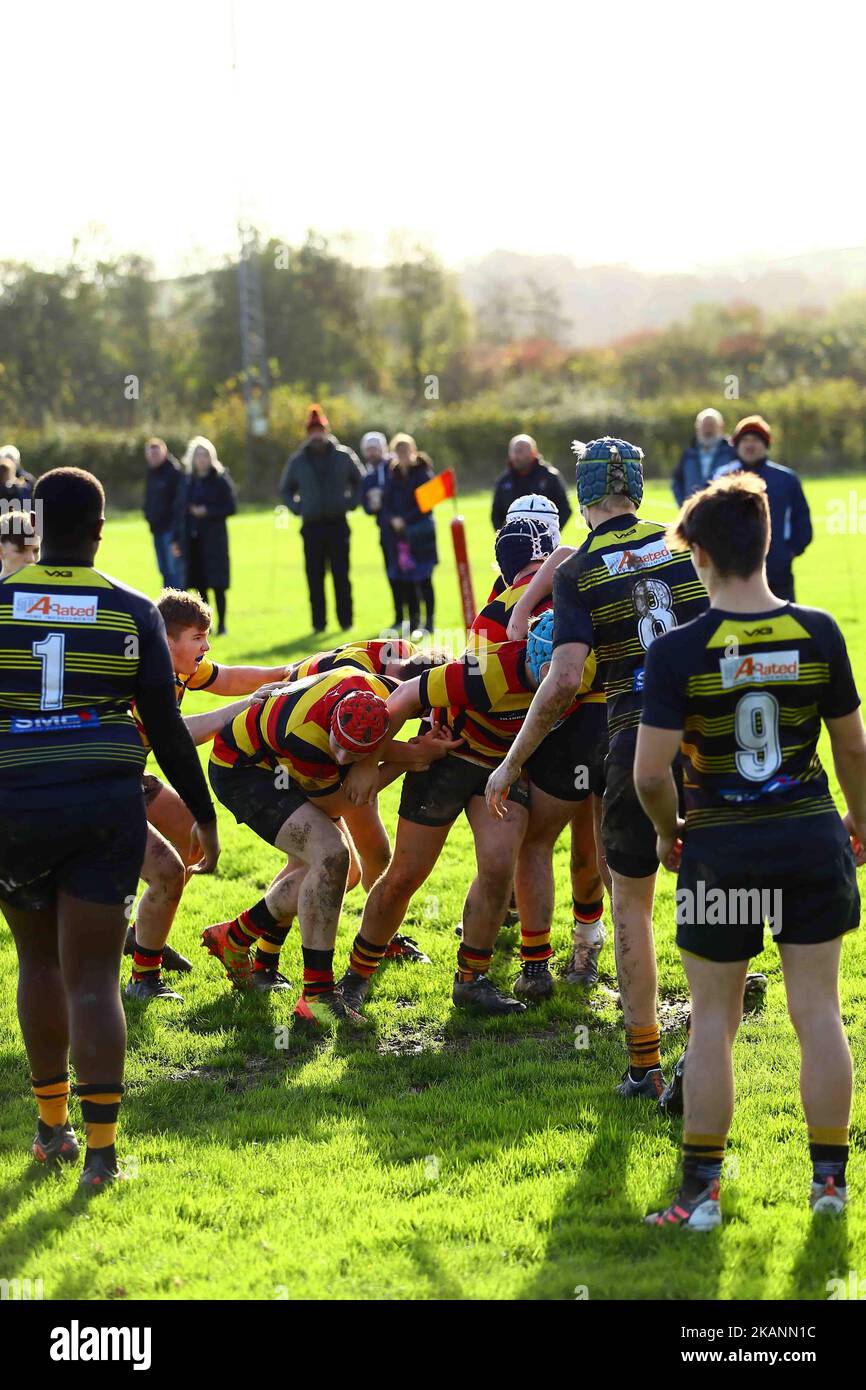 Carmarthen Quins Juniors September 30th 2022 Stock Photo - Alamy
