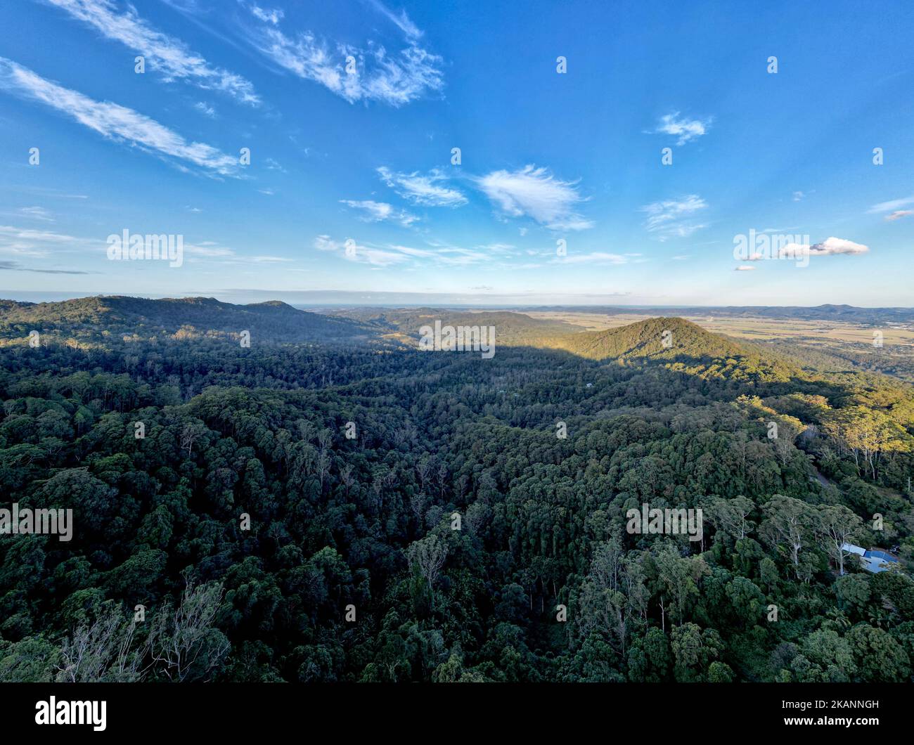 The majestic Tweed Valley with lush trees and floating white clouds ...
