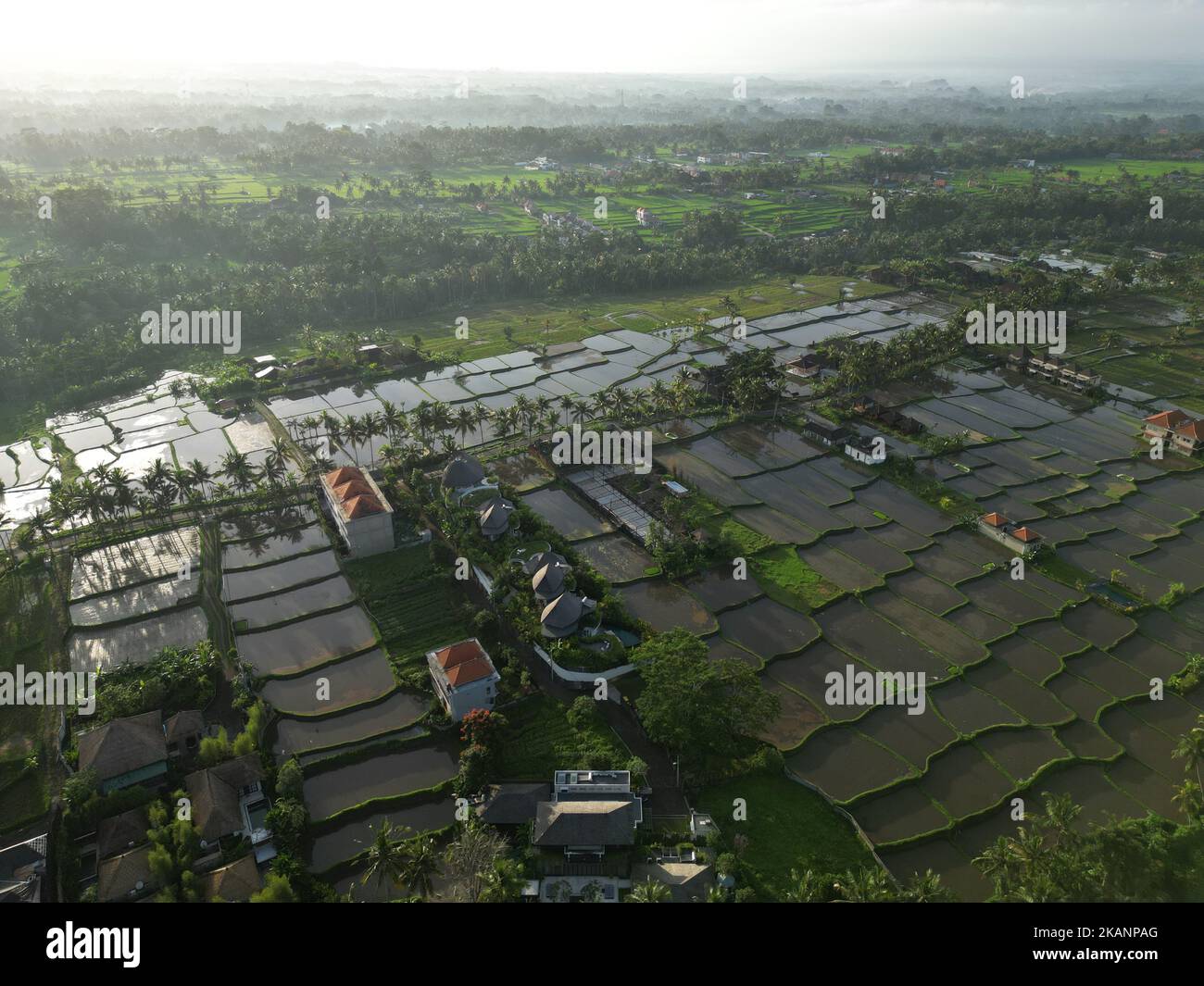 An aerial of rice terraces and buildings in Bali, Indonesia Stock Photo ...