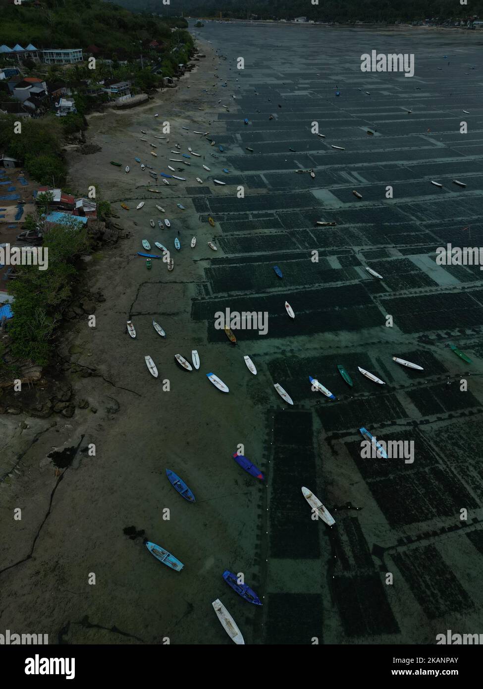 Seaweed farm aerial hi-res stock photography and images - Alamy