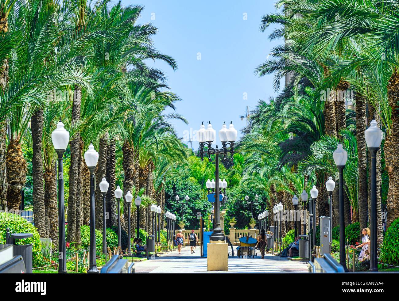 Dr gadea hi-res stock photography and images - Alamy