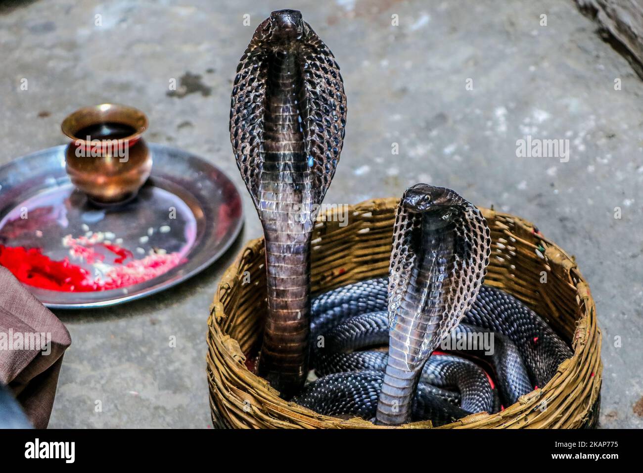 Naag hi-res stock photography and images - Alamy