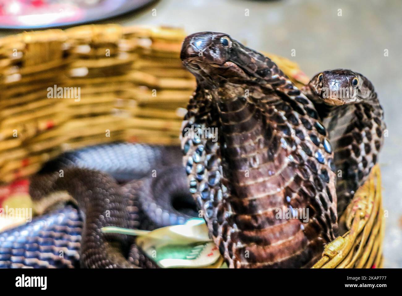 Naag hi-res stock photography and images - Alamy