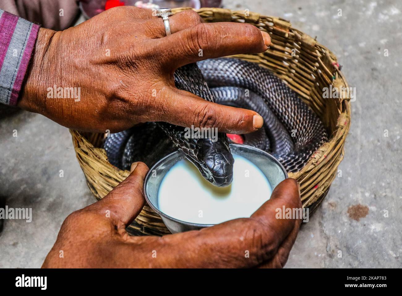 Naag panchami hi-res stock photography and images - Alamy