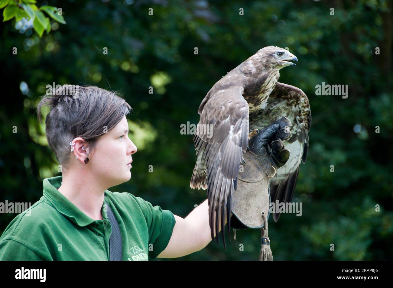 Zoo bird keeper hi-res stock photography and images - Alamy