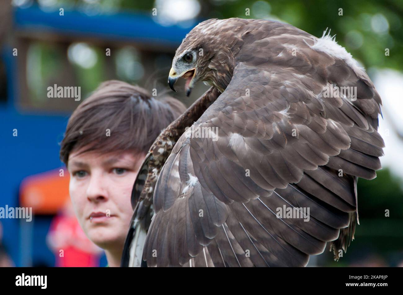 Zoo bird keeper hi-res stock photography and images - Alamy