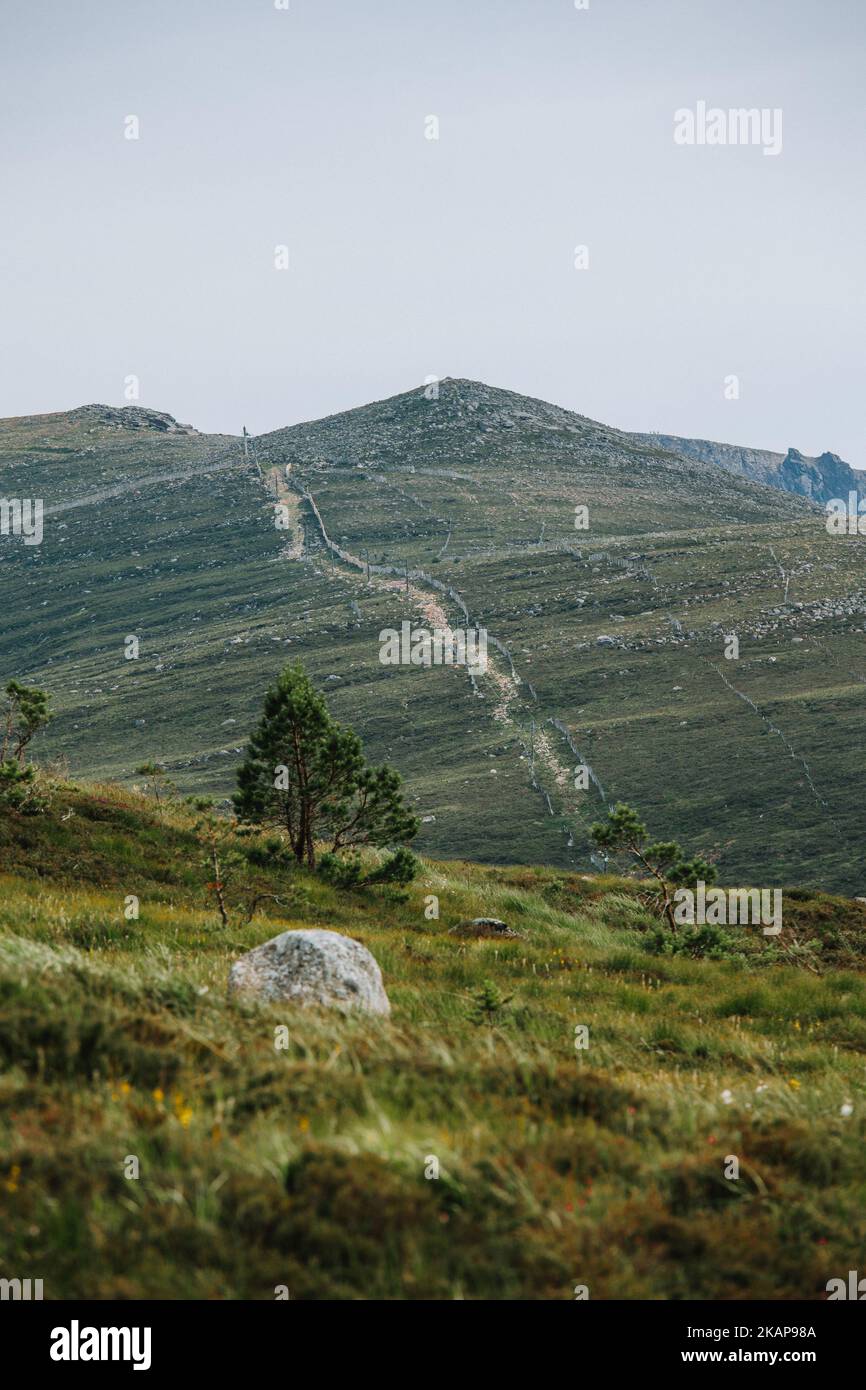 A beautiful green landscape of the hillside with a pathway, in a ...
