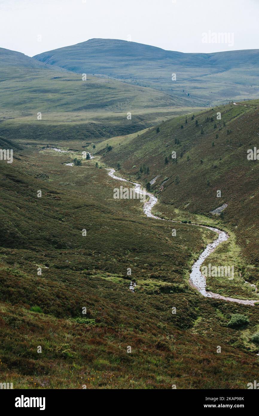A beautiful green landscape of the hillside with a river, in a vertical ...