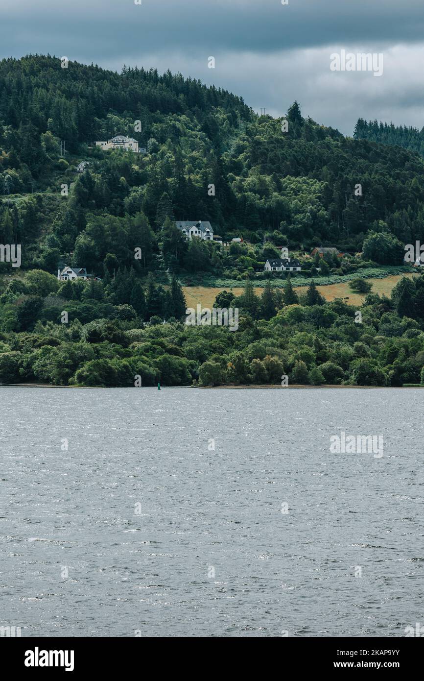 A beautiful vertical shot of the buildings at the green forested shore ...
