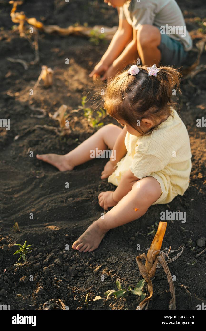 Baby girl sitting next to her brother on the ground in the garden and ...